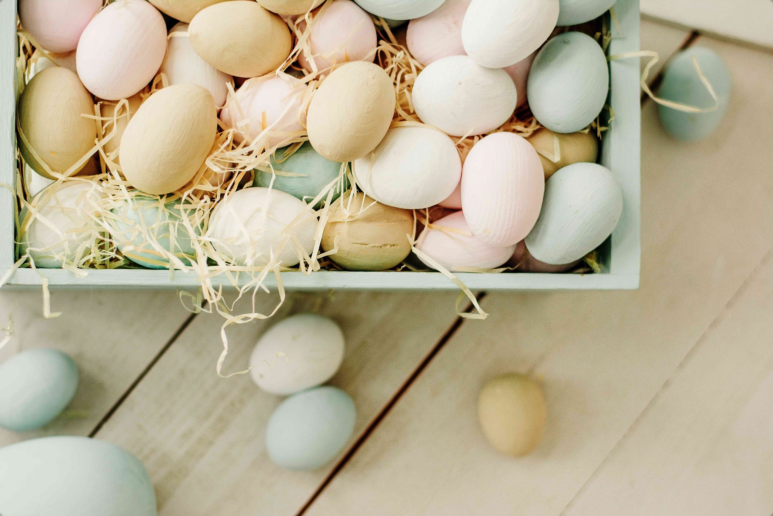 Best Activities for the Easter Break | Our top tips | Xperience